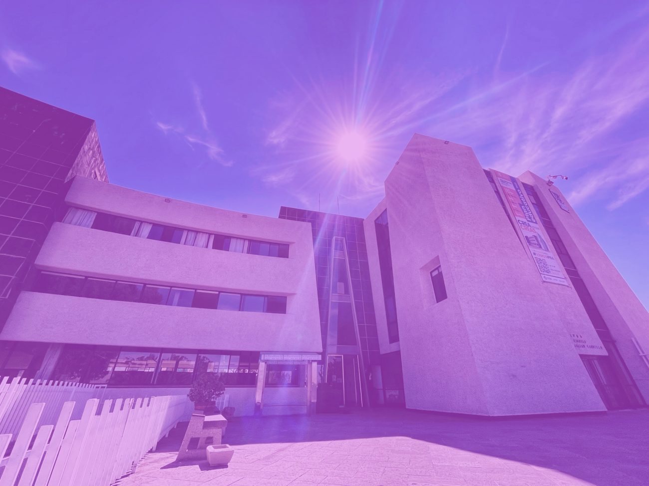 Anuncian el Primer Festival de Creadoras Visuales del IPBA. – INSTITUTO ...